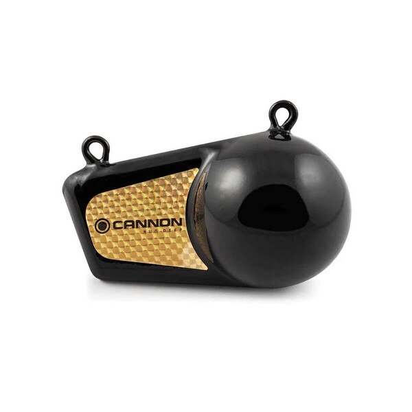 Cannon 8 Pound Flash Weight | Wintron Electronics